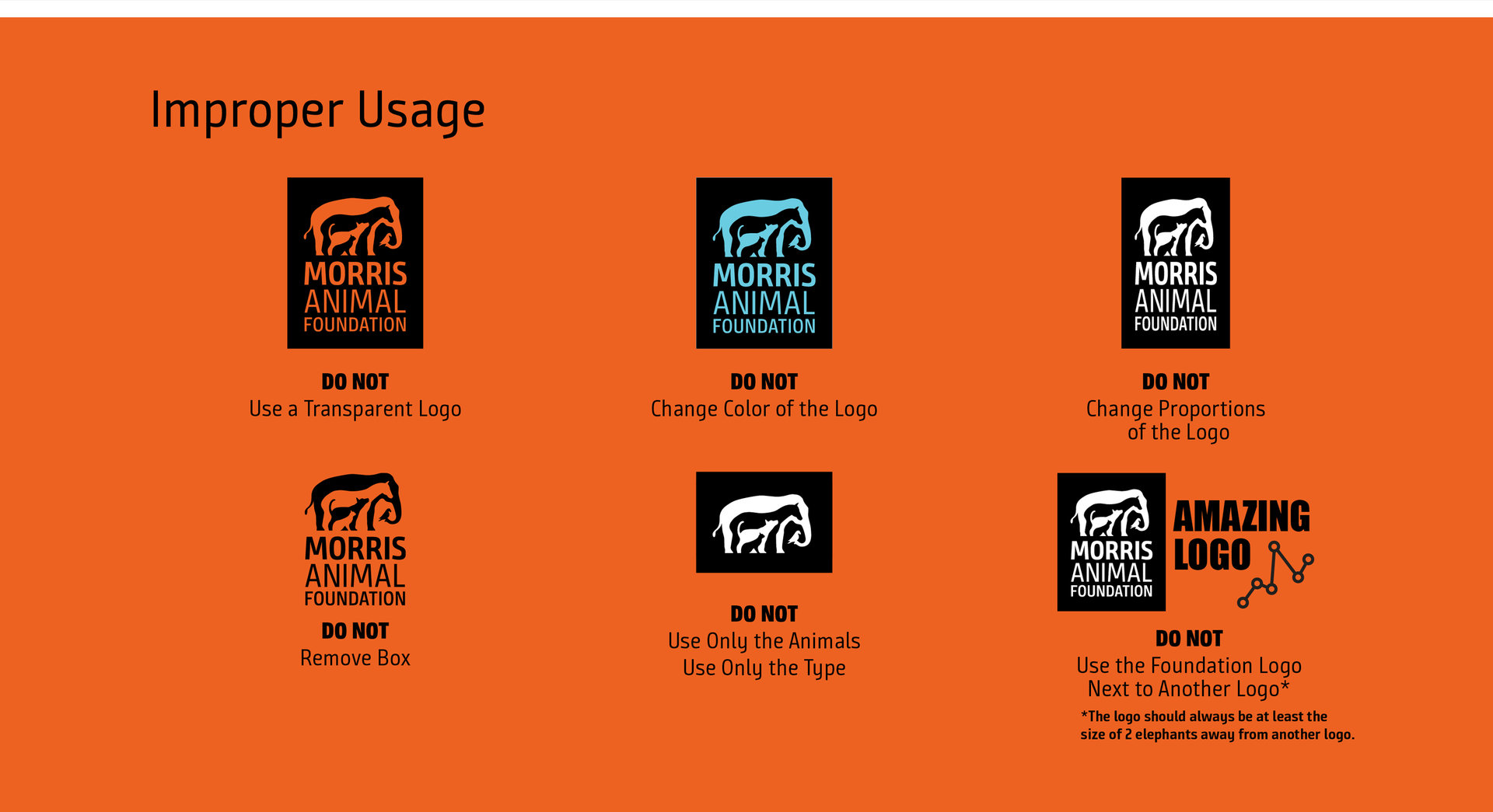 Brand Standards | Morris Animal Foundation