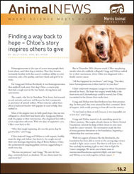 AnimalNEWS Archives | Morris Animal Foundation