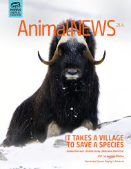 AnimalNEWS Archives | Morris Animal Foundation