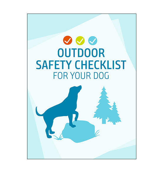 Outdoor Safety Checklist for Dogs | Morris Animal Foundation