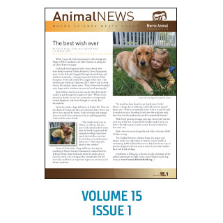 AnimalNEWS Archives | Morris Animal Foundation