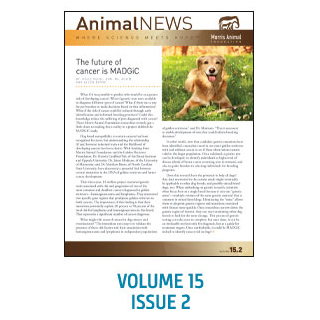 AnimalNEWS Archives | Morris Animal Foundation