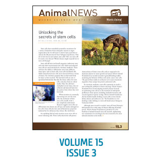 AnimalNEWS Archives | Morris Animal Foundation