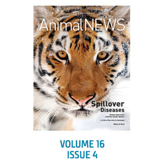 AnimalNEWS Archives | Morris Animal Foundation