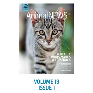 AnimalNEWS Archives | Morris Animal Foundation