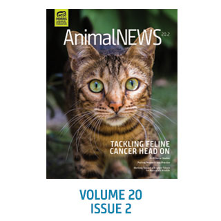 AnimalNEWS Archives | Morris Animal Foundation