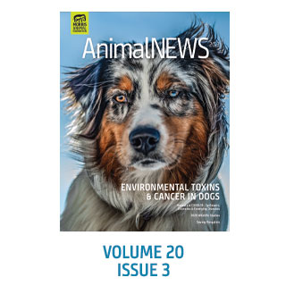 AnimalNEWS Archives | Morris Animal Foundation