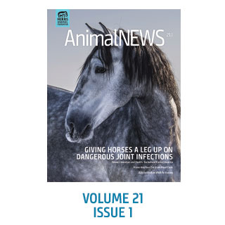 AnimalNEWS Archives | Morris Animal Foundation