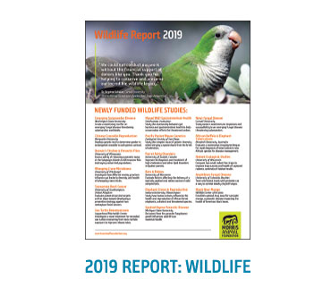 Resources | Morris Animal Foundation