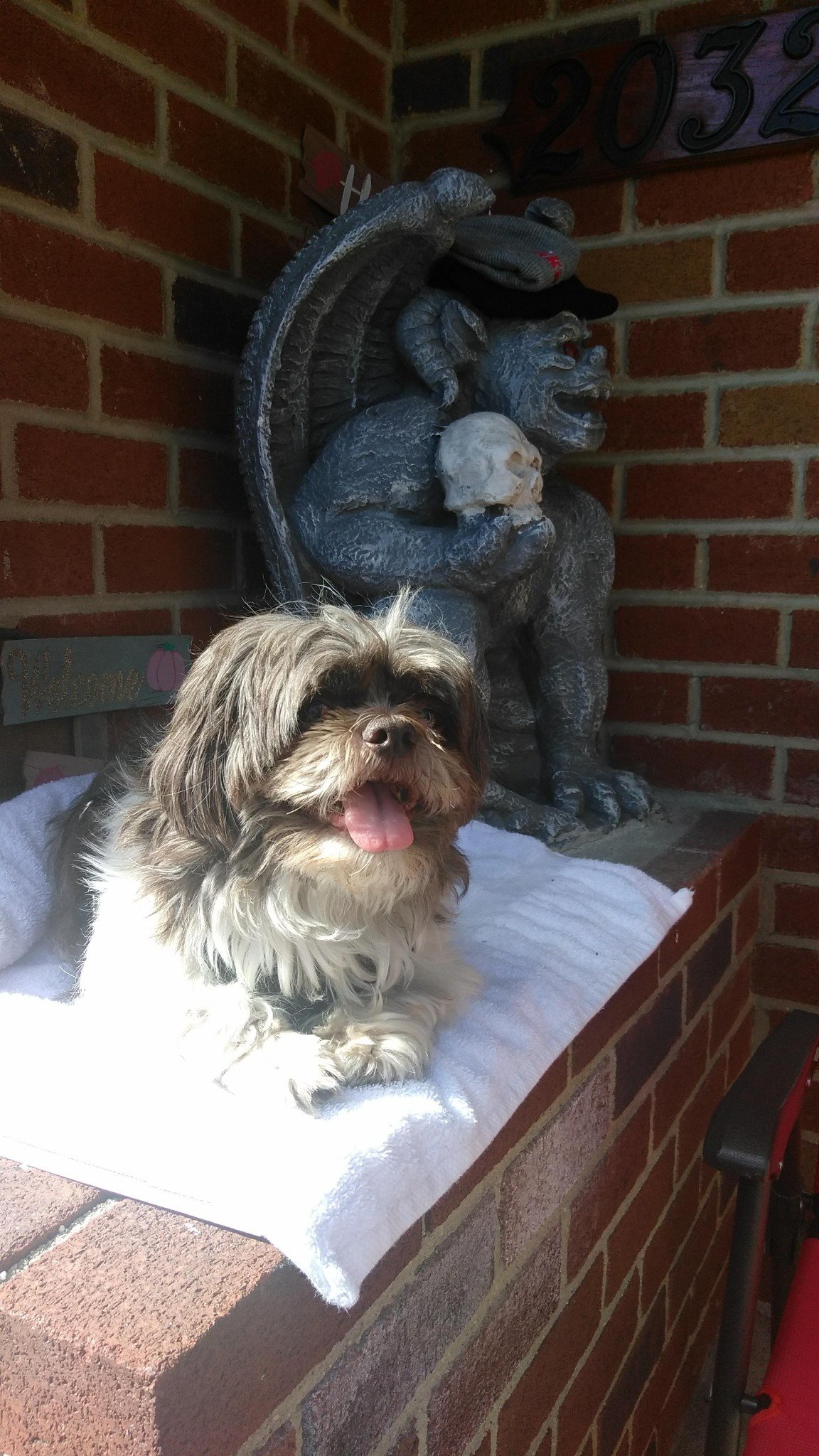 Jeremy's Online Pet Memorial | Morris Animal Foundation