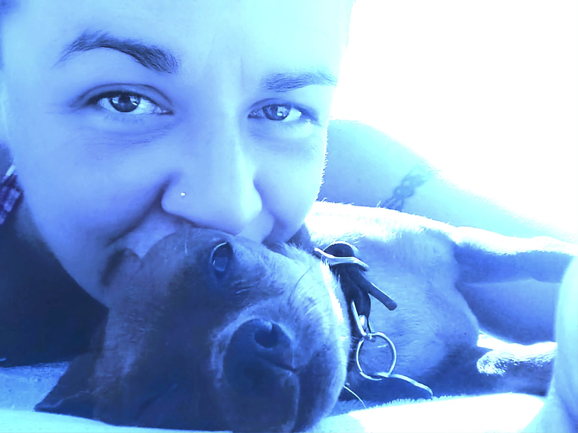 Ginger Marie 's Online Pet Memorial | Morris Animal Foundation