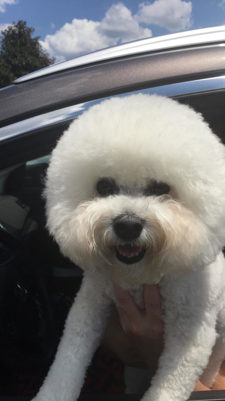 Zoe's Online Pet Memorial | Morris Animal Foundation