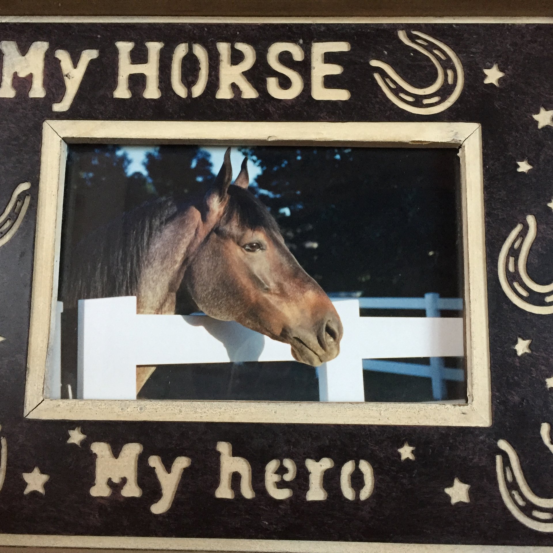 Chance's Online Pet Memorial | Morris Animal Foundation