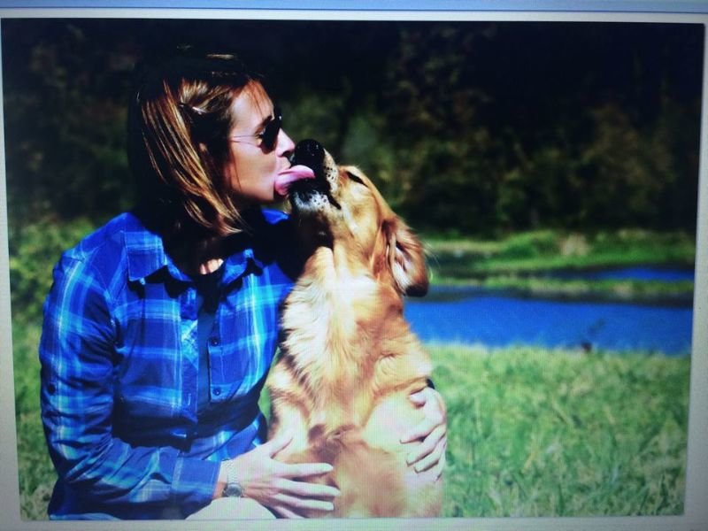 Jimmy's Online Pet Memorial | Morris Animal Foundation