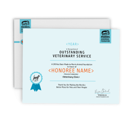 Outstanding Veterinary Service Certificate | Morris Animal Foundation