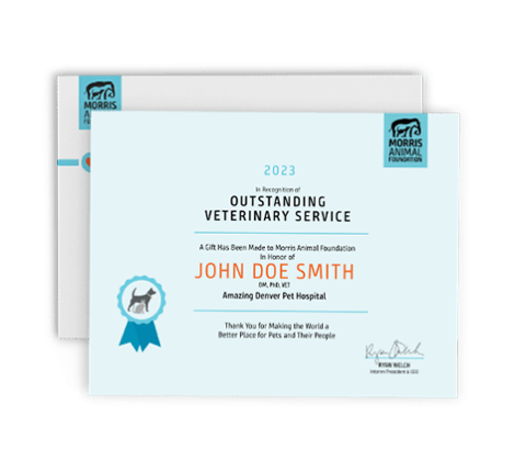 Outstanding Veterinary Service Certificate | Morris Animal Foundation