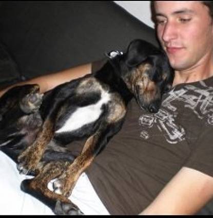 Rizo's Online Pet Memorial | Morris Animal Foundation