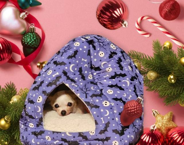 Lilly Star Cargle's Online Pet Memorial | Morris Animal Foundation