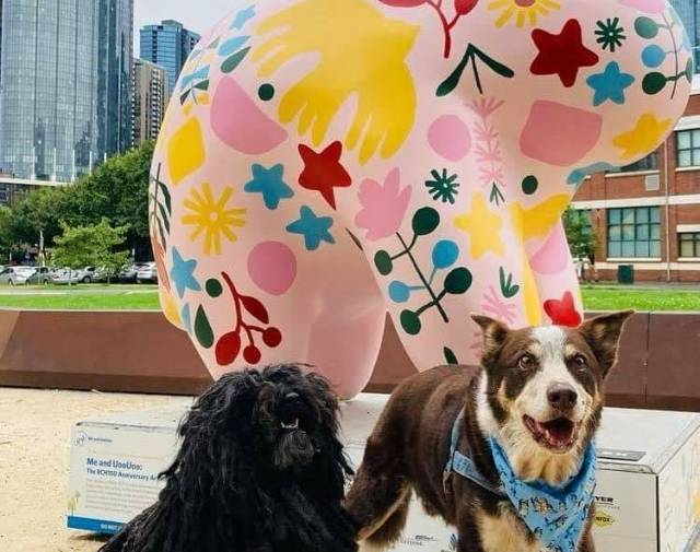 Pesky's Online Pet Memorial | Morris Animal Foundation