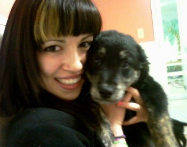 Ellie AKA Queen Eleanor the Great's Online Pet Memorial | Morris Animal ...