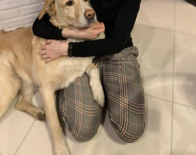 Rikki 's Online Pet Memorial | Morris Animal Foundation