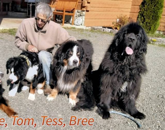 Tess